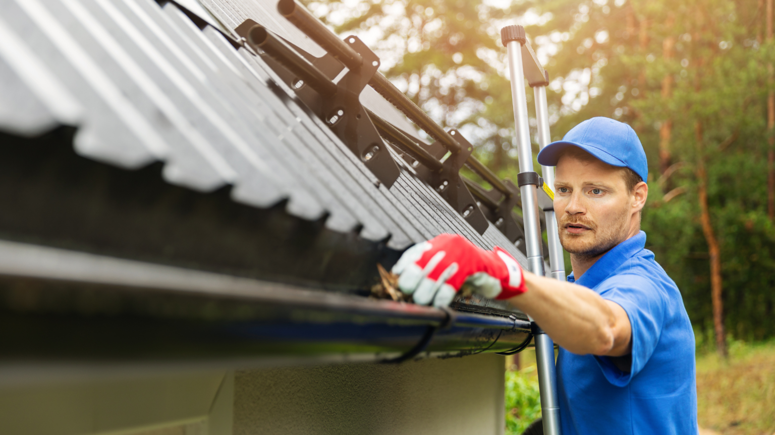Types of Bugs that Might Be in Your Gutters - Proctor Pest Control