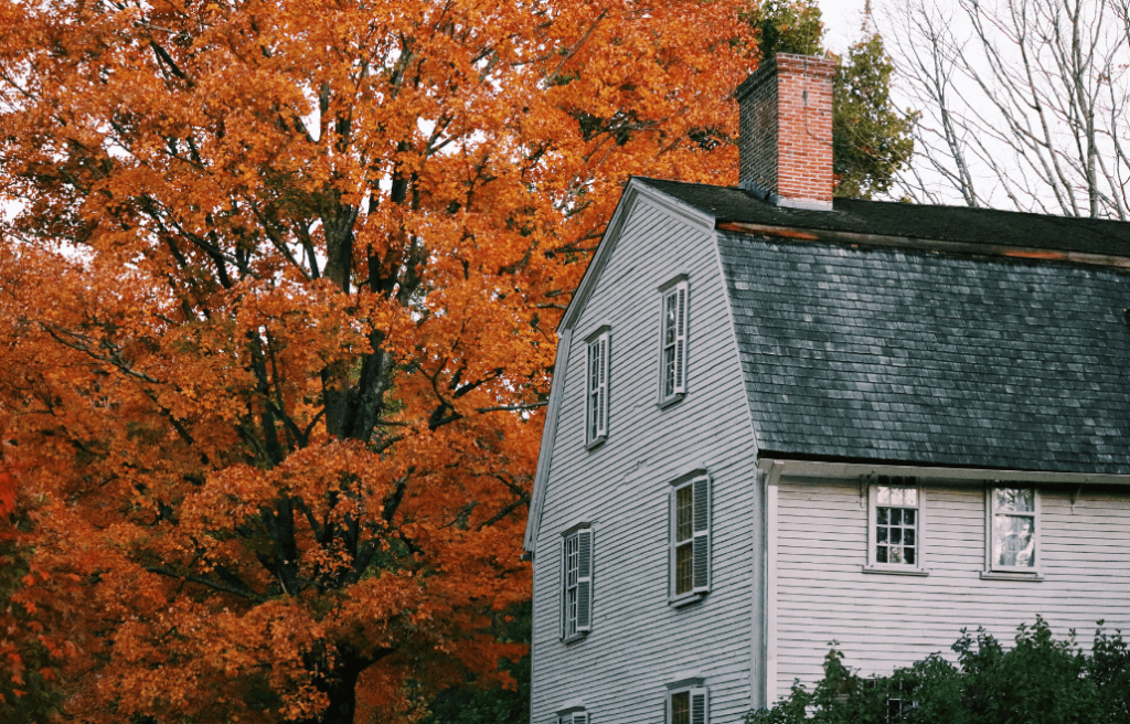 The Fall Pest Checklist: Signs of Infestation and Prevention Tips ...